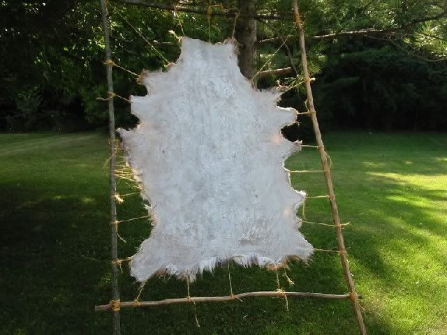 Creating A Deer Hide Wall Hanging Bowhunting Forums