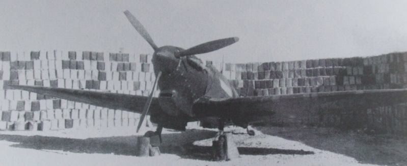 Spitfire PR XIII - Aircraft WWII - Britmodeller.com