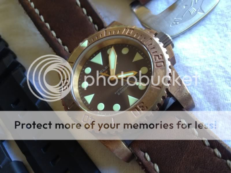 Bronze: Helson 2000m Diver | WatchUSeek Watch Forums