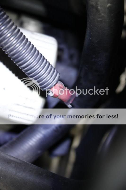 Broken alternator ring terminal | Focus Fanatics Forum