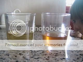 freeze distillation (moonshine cider) | The Kale Yard