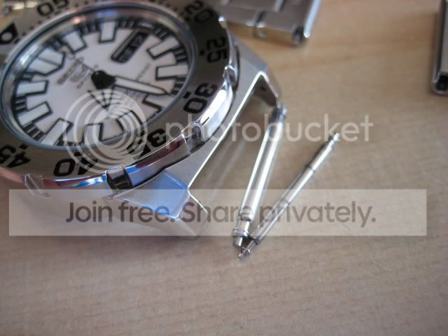 22mm Watchadoo on my Mini Monster - Bars too thin? | WatchUSeek Watch ...