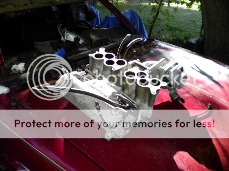5.0 Explorer upper and lower intake(GT40)***pics added*** - Ford Truck ...