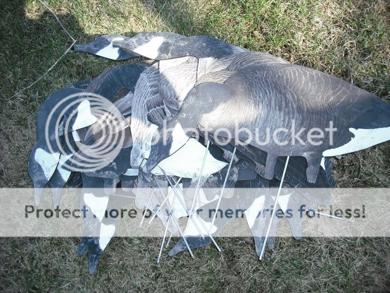 Goose silo's for sale | Duck Hunting Forum