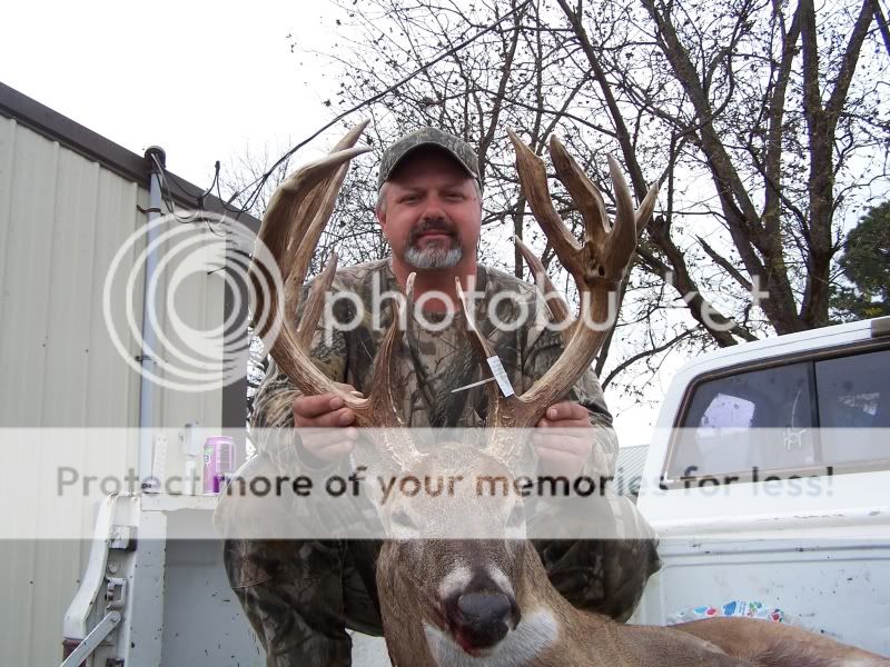 cache river buck | Arkansas Hunting
