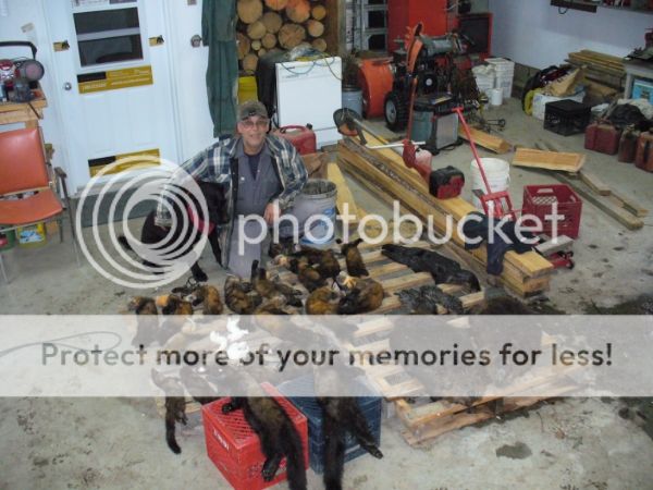 Canadian Trappers Talk Forum • View topic - now able to post pictures ...