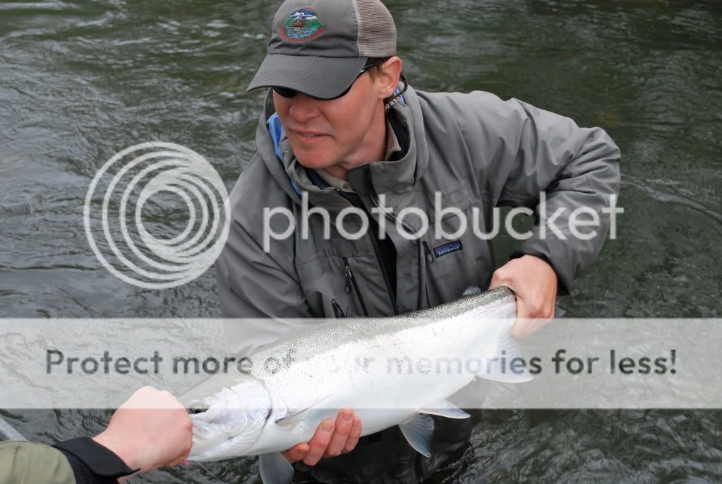 Bobber down!! | Bloodydecks